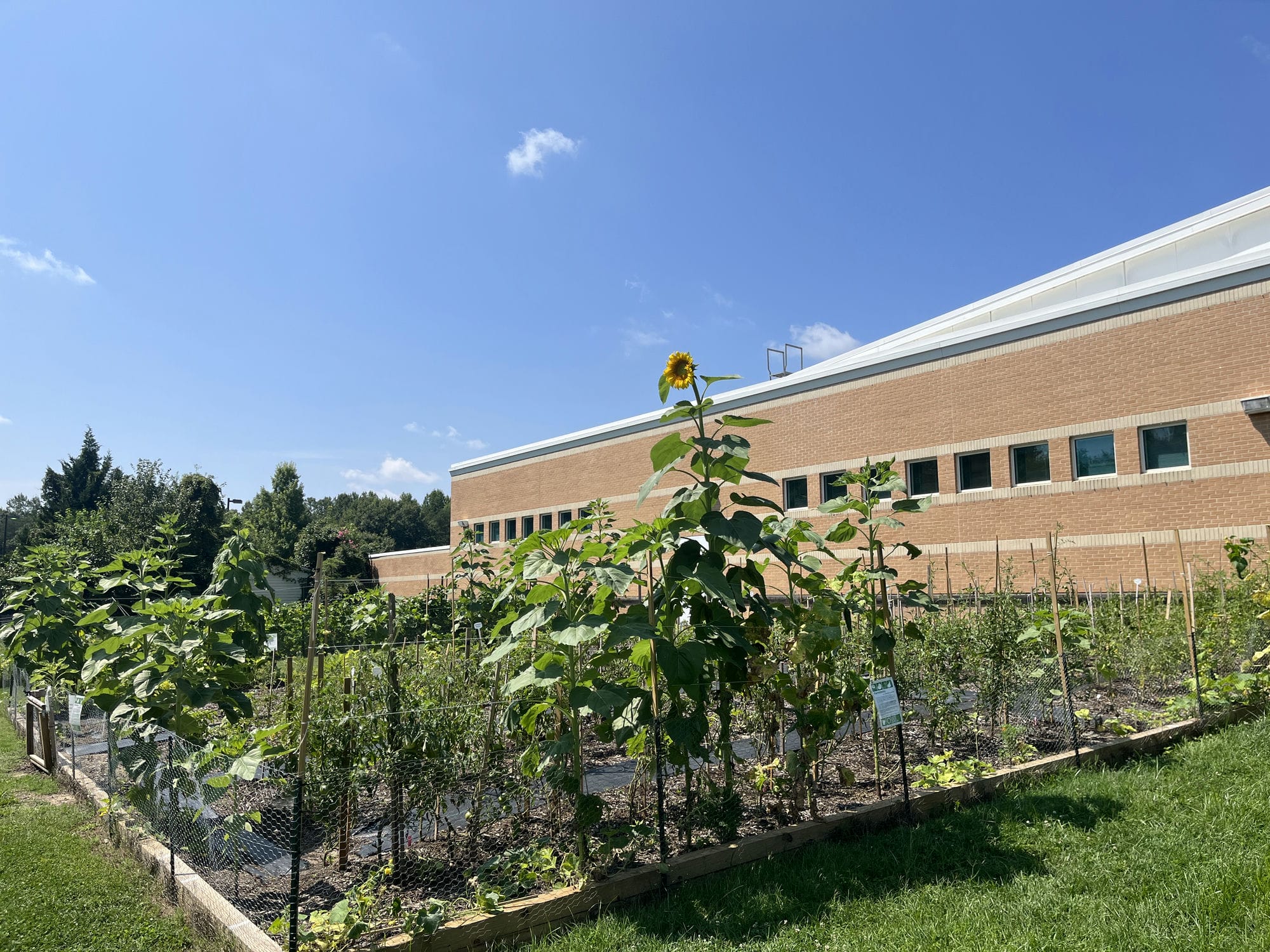 Our Farm Stories - Farm Unity