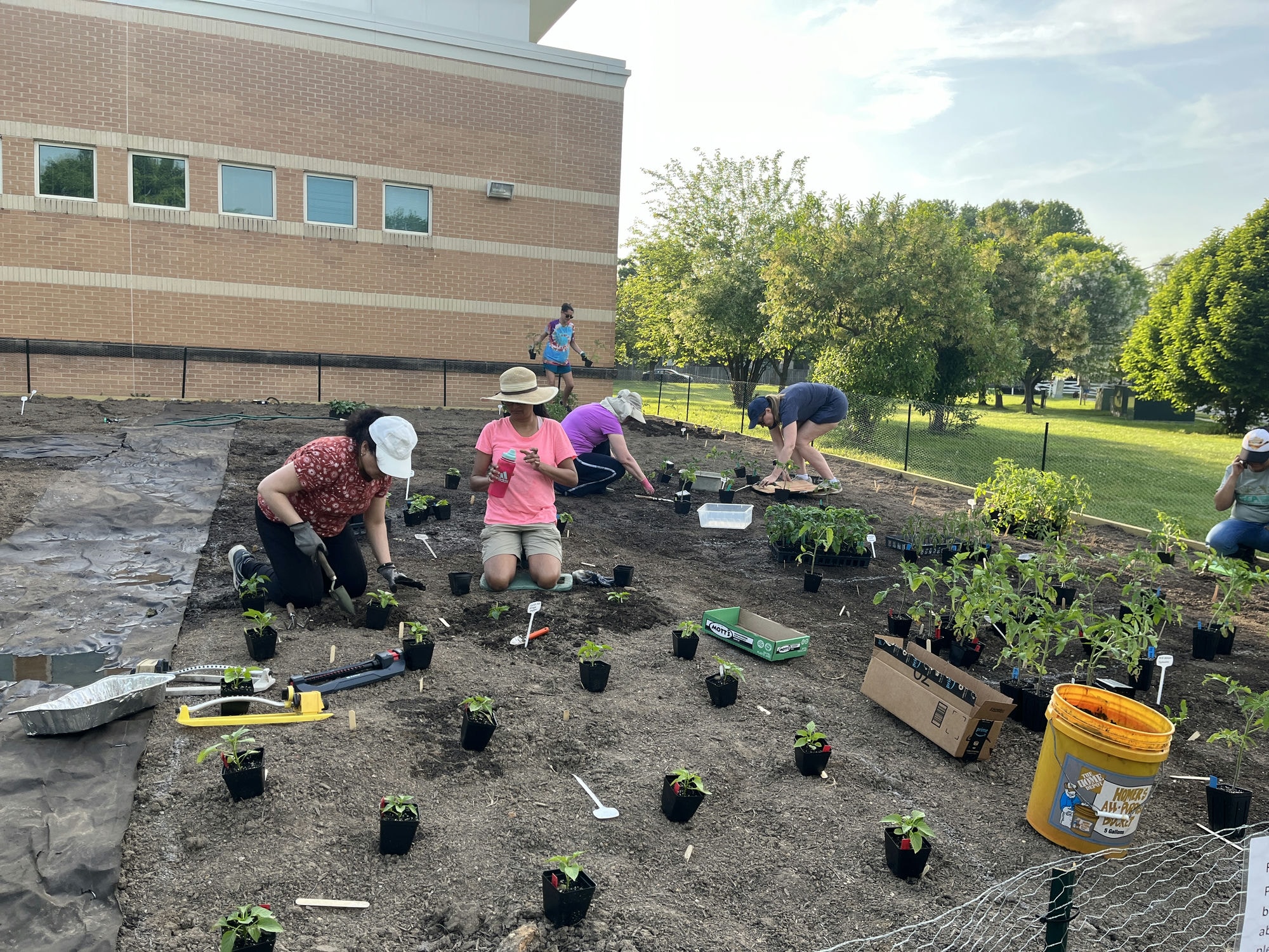 Volunteer with us - Farm Unity
